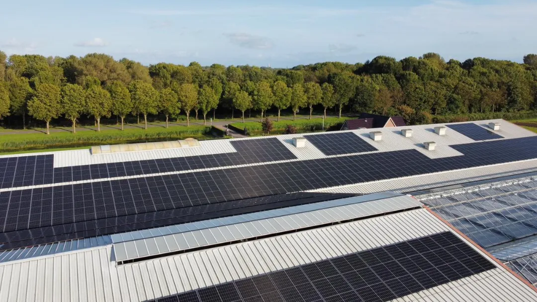 Homepage - Erik Dekker montage